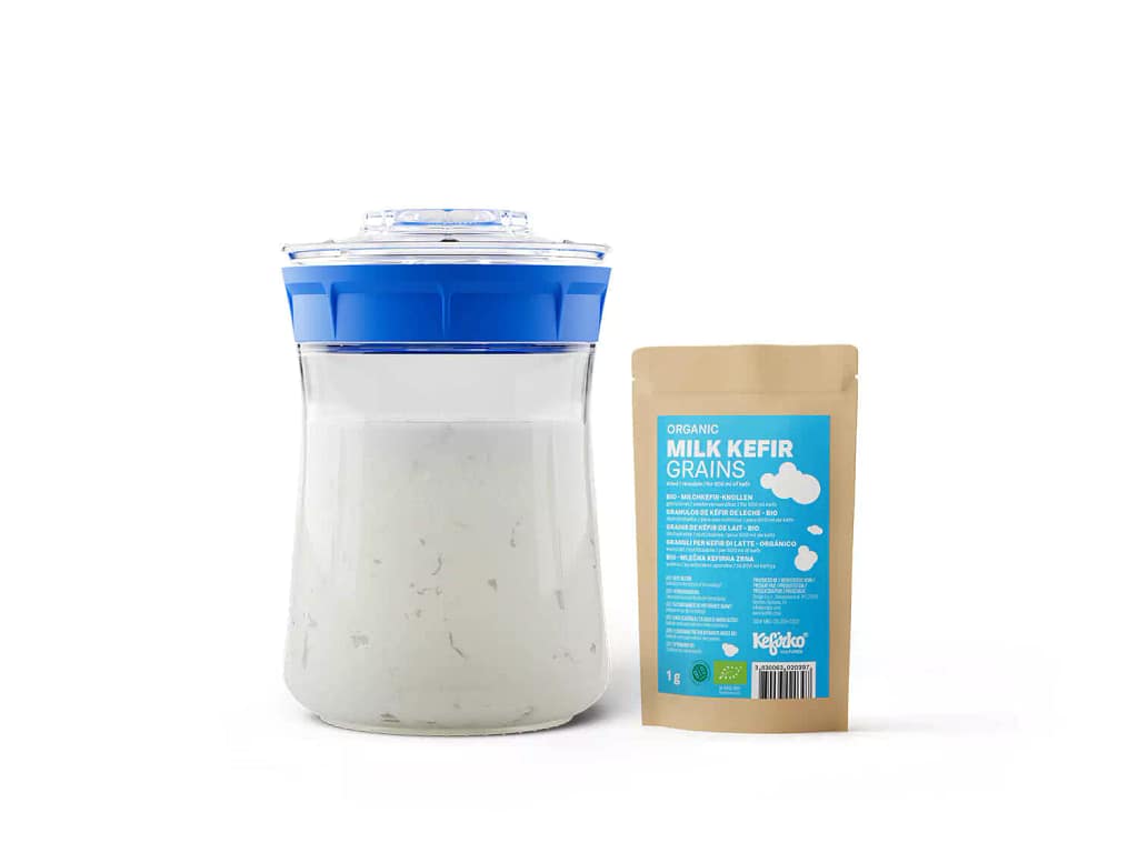 Milk Kefir Starter Kit - FungiHub.eu